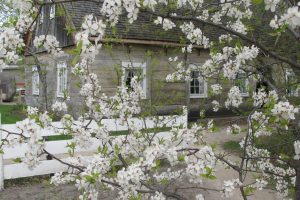 Travel Through Time | Mennonite Heritage Village